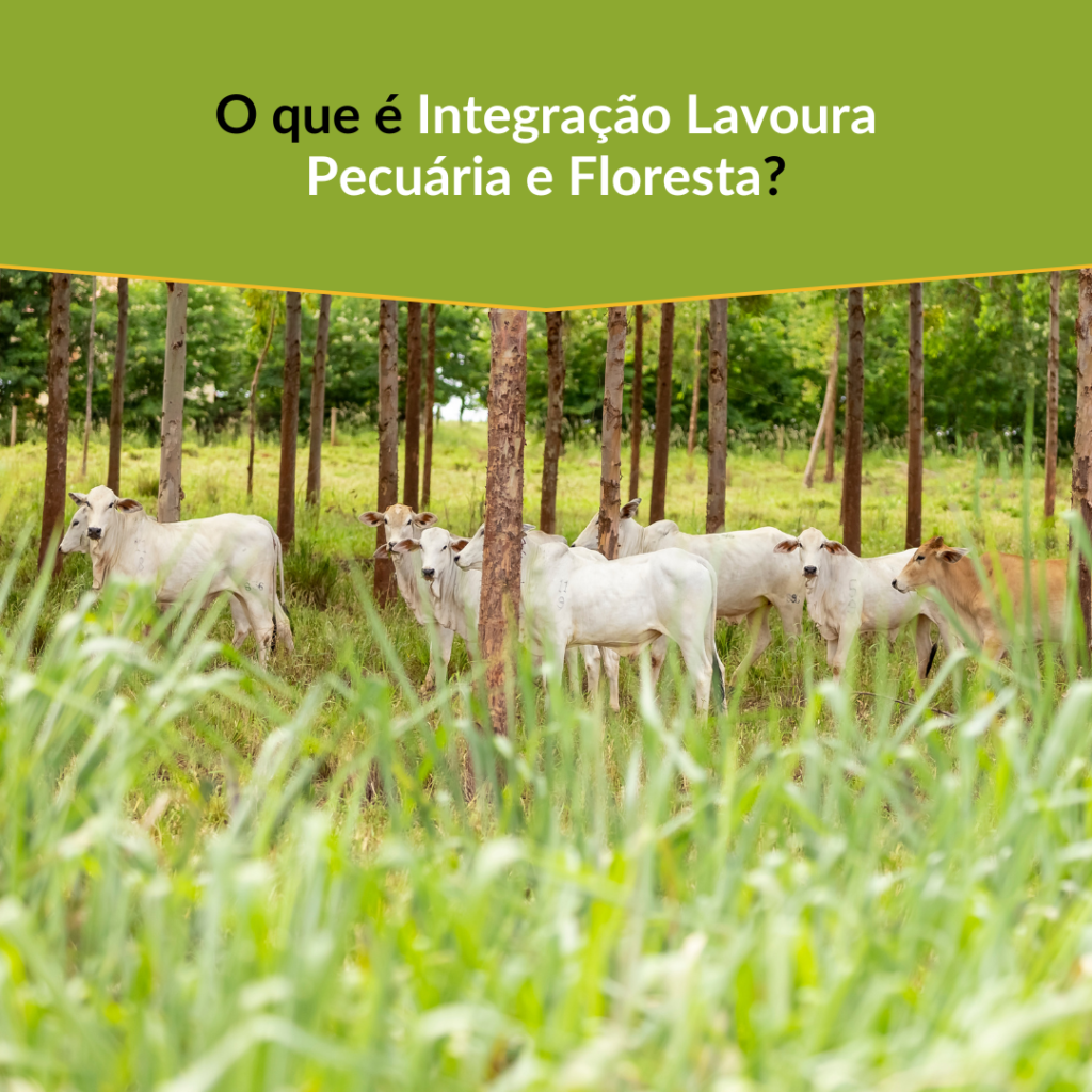 Produção Sustentável Integrativa